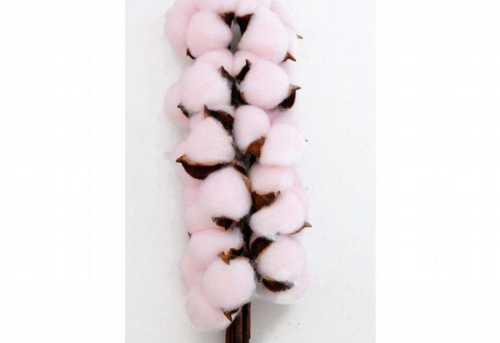 Хлопок Розовый на палке сухоцвет оптом (1 штука)