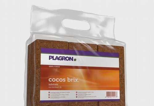 Кокосовый субстрат Cocos Brix Plagron 6x9л