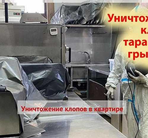 Уничтожение клопов тараканов