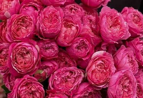 Пионовидные розы, букет роз, кустовые розы