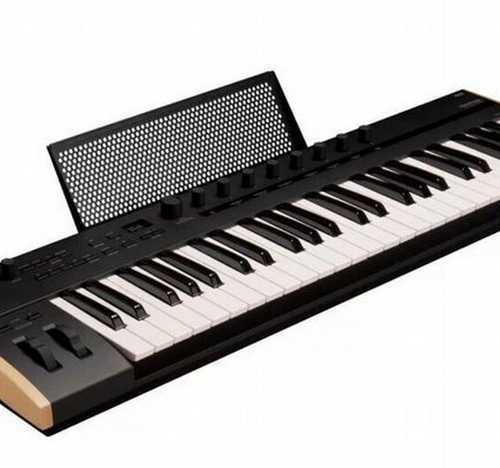 Korg Keystage 49 midi-клавиатура