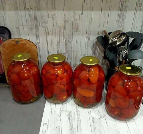 Солонина