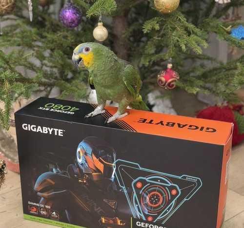 Новая RTX 4080 Gigabyte Gaming OC 16Gb гарантия