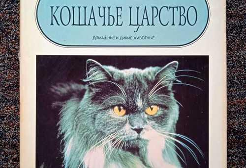 Новая книга. Кошачье царство. Домашние и дикие