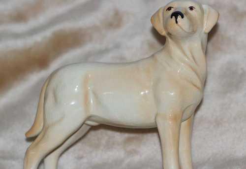 Фарфоровая статуэтка собака лабрадор Англия
