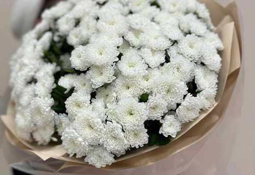 Белые хризантемы в букете