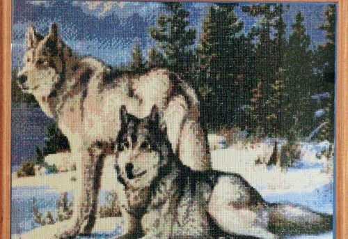 Алмазная вышивка "Волк"