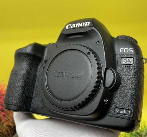 Canon EOS 5D Mark II