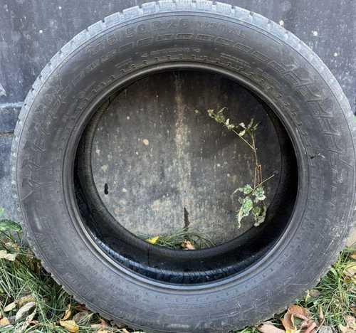 Nokian Tyres Hakkapeliitta 7 SUV 275/50 R20 113T