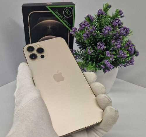 iPhone 12 Pro, 256 ГБ