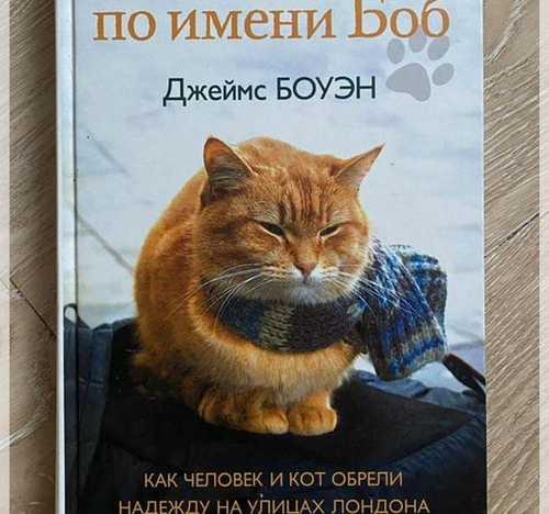 Уличный кот по имени боб