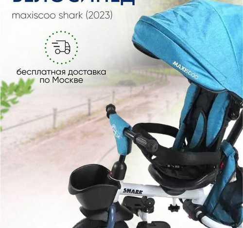 Детский велосипед Maxiscoo Shark, год 2023, цвет Синий