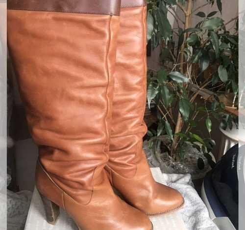 Сапоги zara 39