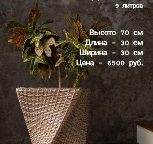 Стойка для цветов напольная