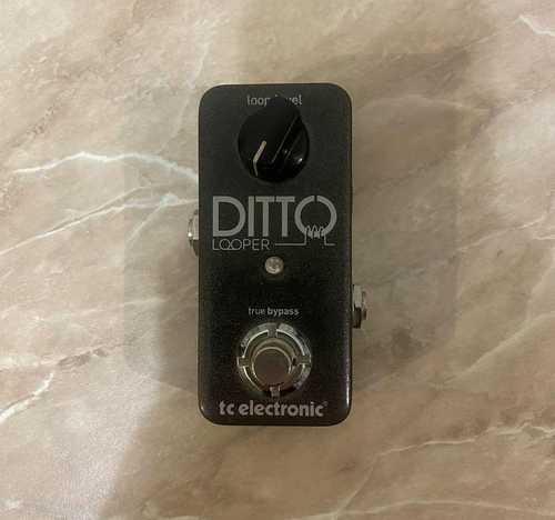 Ditto looper tc electronic