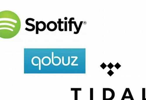 Подписка Spotify, Qobuz Hi res, Tidal пожизненно