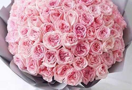 Пионовидные розы Pink O’Hara