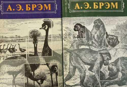 А. Э. Брем "Жизнь животных" "Млекопитающие" "Птицы