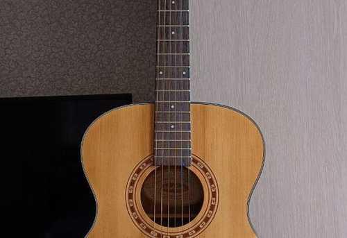 Гитира Washburn AF5