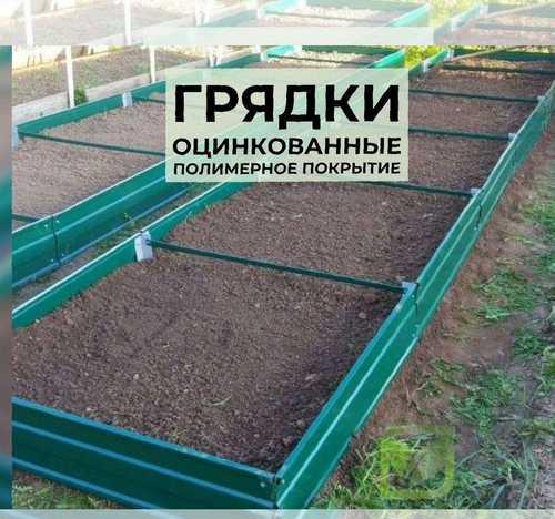 Грядки
