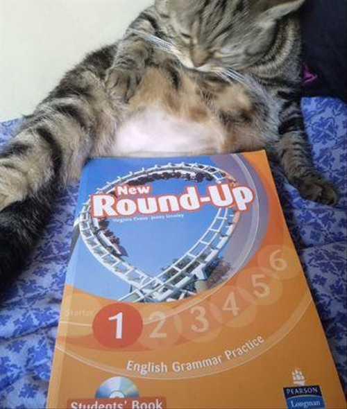 Учебник new Round Up 1