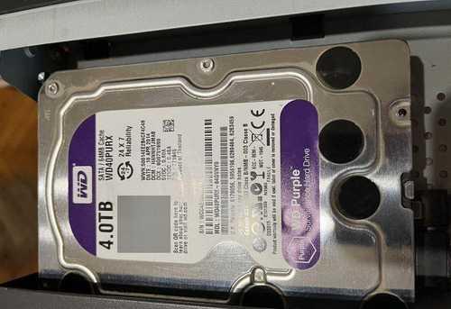 HDD WD Purple 4TB