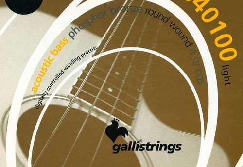 Струны для акустической гитары Galli Strings AB401