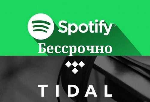 Spotify / Tidal на бессрочно