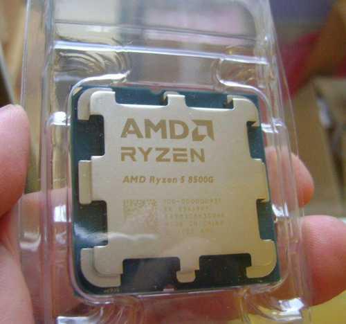 Ryzen 5 8500g (Новый)