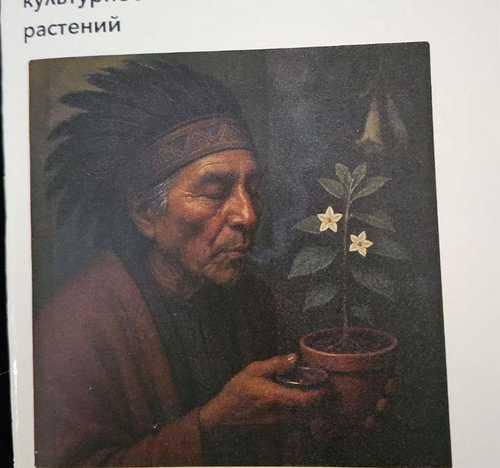 Шаманизм - Джим Де Корн