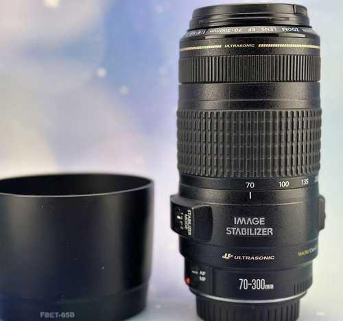 Canon EF 70-300mm f/4.5-5.6 IS USM (sn 12677)