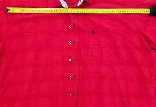 Hatico Sport Premium Cotton Button Down Shirt 4XL