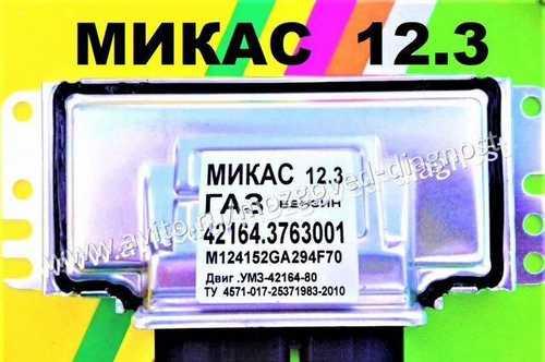 Эбу Мозг на Газ Эбу Микас 12 3 42164.3763001 GAF70