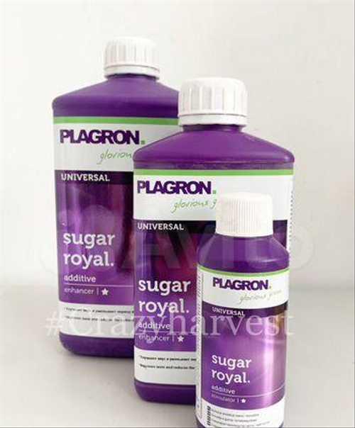 Стимулятор Plagron Sugar Royal