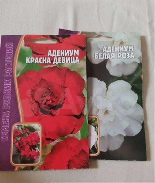 Семена адениума Красна Девица, Белая Роза