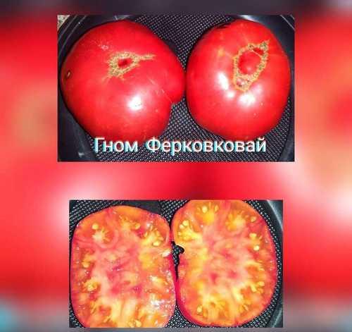 Семена томатов из серии "Гном томатный"