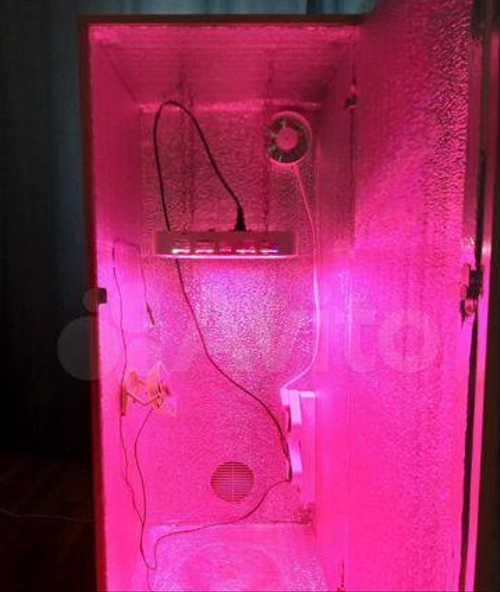 Гроубокс LED 300W 120x50x50