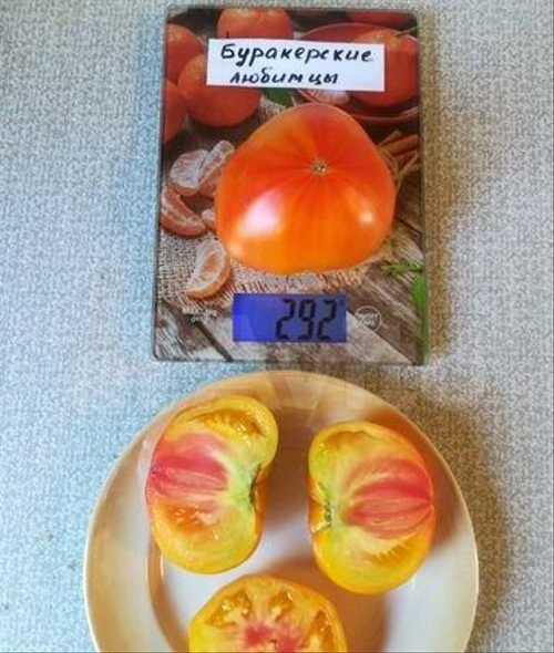 Семена томатов коллекционные урожайный сорта