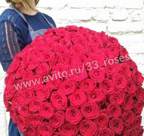 Эквадорская роза, букет роз 25,35,51,101 штука