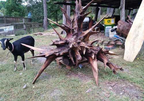 Пень дубовый под декор стол все вопросы по тел. ес