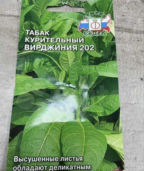 Семена табак курительный