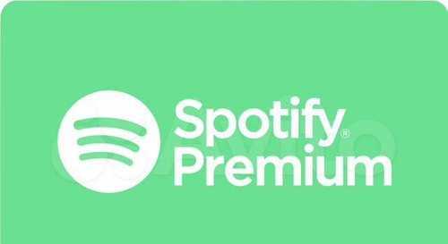 Spotify Premium на полгода, год и пожизненно