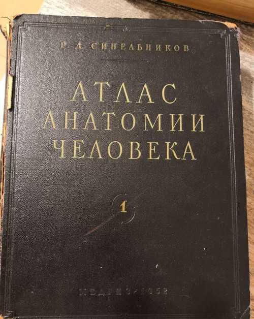 Атлас анатомии человека (Синельников, 1952)