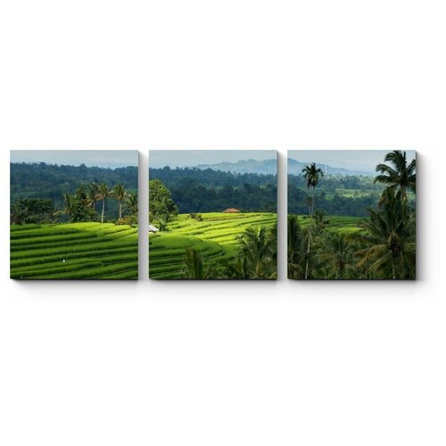 Модульная картина Бали, рисовые поля 100x33