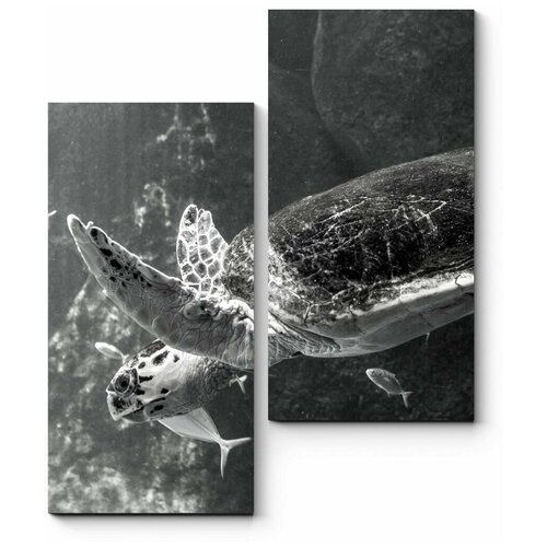 Модульная картина Морская черепаха 60x75
