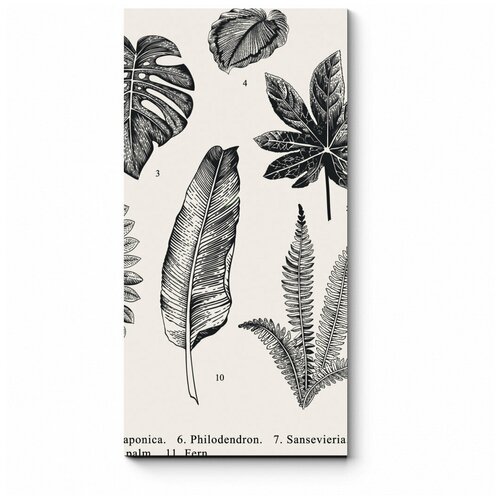 Модульная картина Гербарий из экзотических растений 40x80