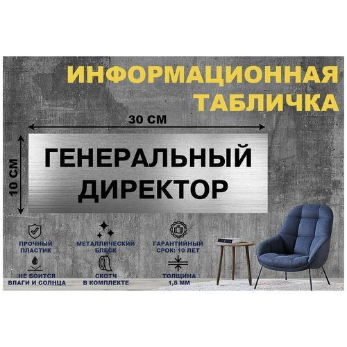 Табличка "Генеральный директор" на стену и дверь 300*100 мм с двусторонним скотчем