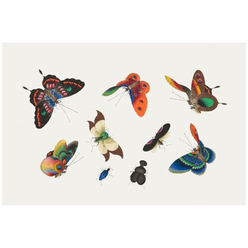 Постер / Плакат / Картина Порхание бабочек 40х50 см в раме