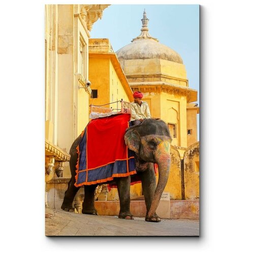 Модульная картина Индийский слон 50x75