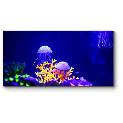 Модульная картина Яркий мир кораллов и медуз 100x50